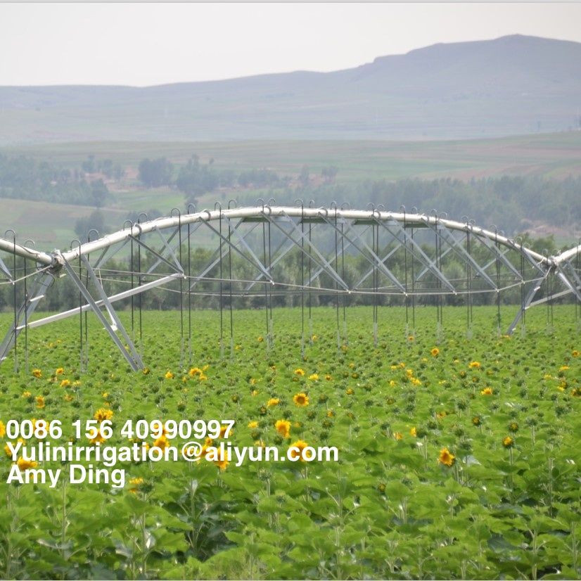 Buy Linear Move Irrigation Machine/lateral Move Irrigation System from ...