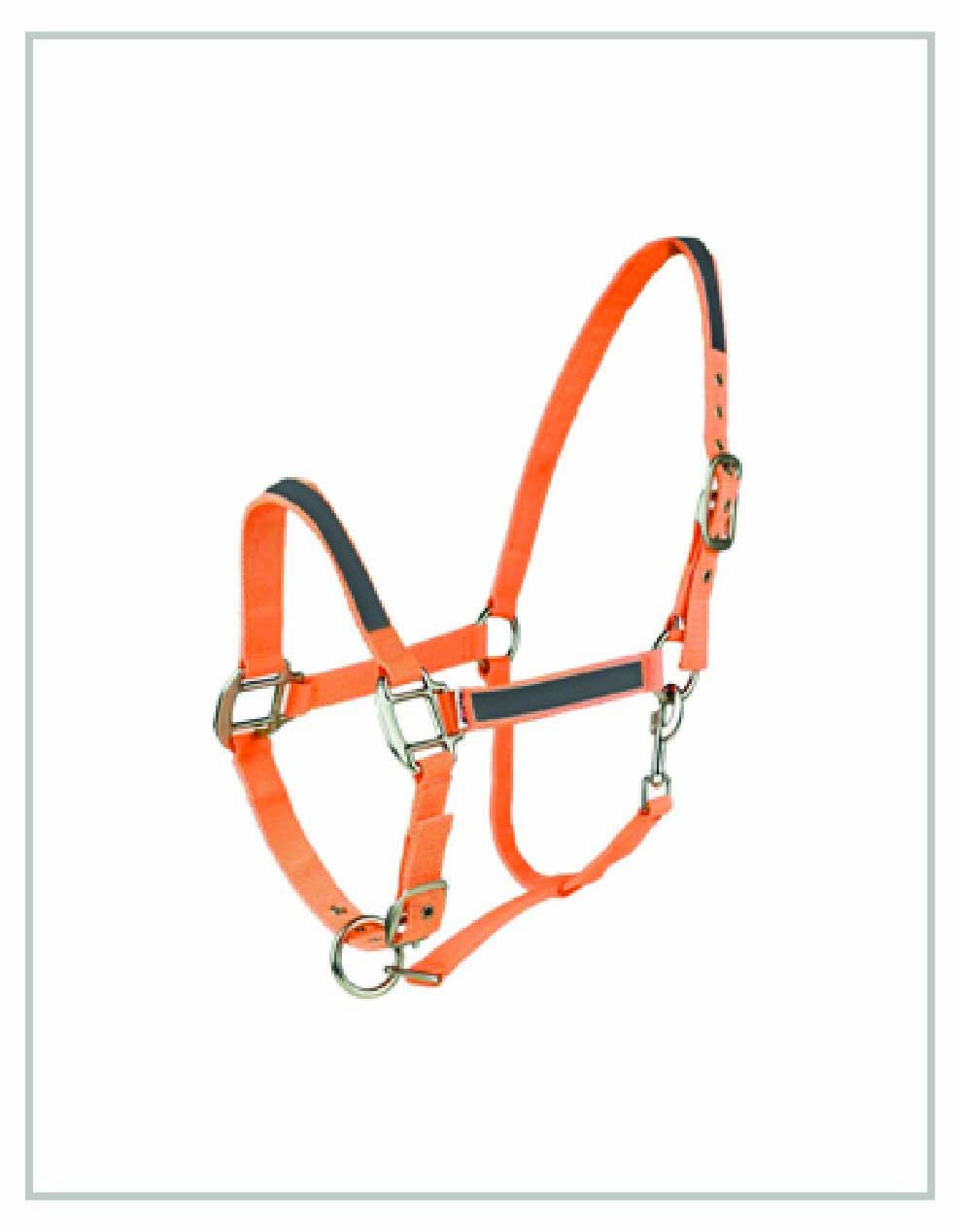 Buy Horse Halter from Luckypetssupplies, China | Tradewheel.com