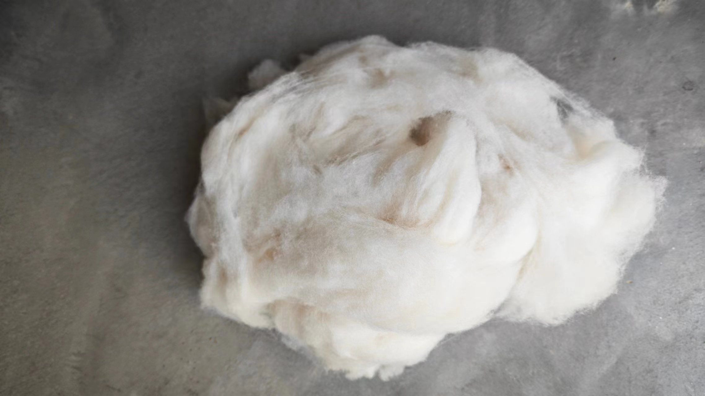 Buy Chinese Carded Sheep Wool Lamb Wool Super Soft 16..5mic Wool Fibre ...