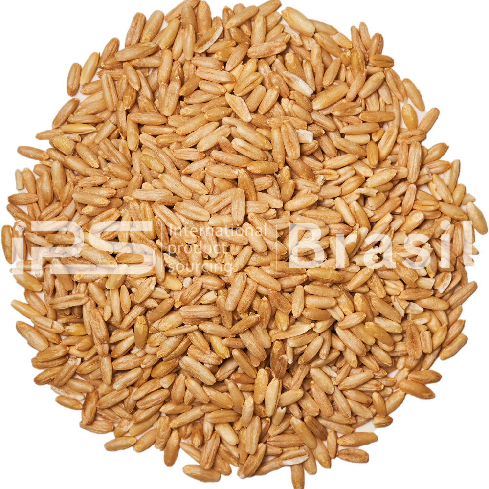 Buy Wheat – Milling Grade | Human Consumption | Ips Brasil | 10,000 Mt ...