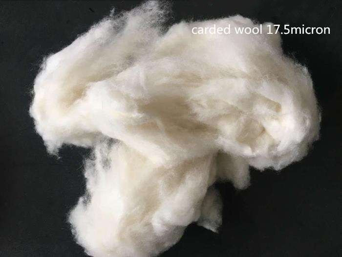 Buy Chinese Carded Sheep Wool Lamb Wool Super Soft 16..5mic Wool Fibre ...
