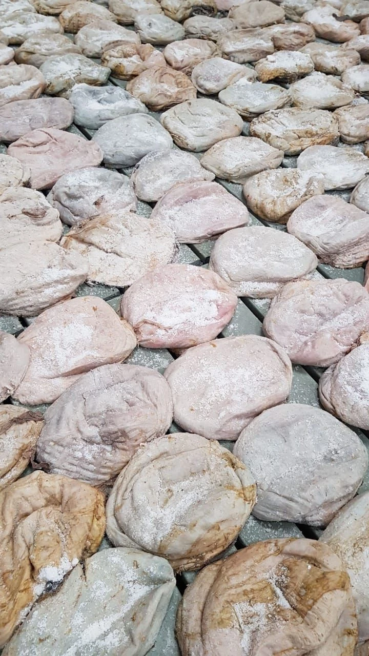 Buy Salted Beef Omasum /librillo from Beefbyproductd, Colombia ...