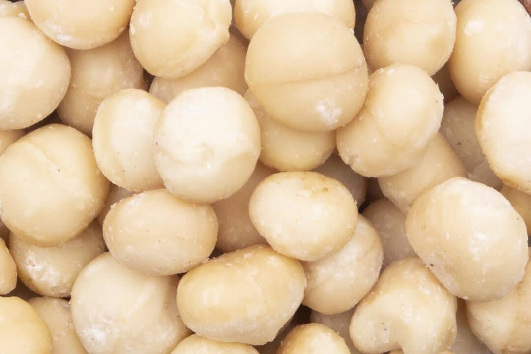 Buy Macadamia Nut from 3 Multiple Suppliers, South Africa | Tradewheel.com