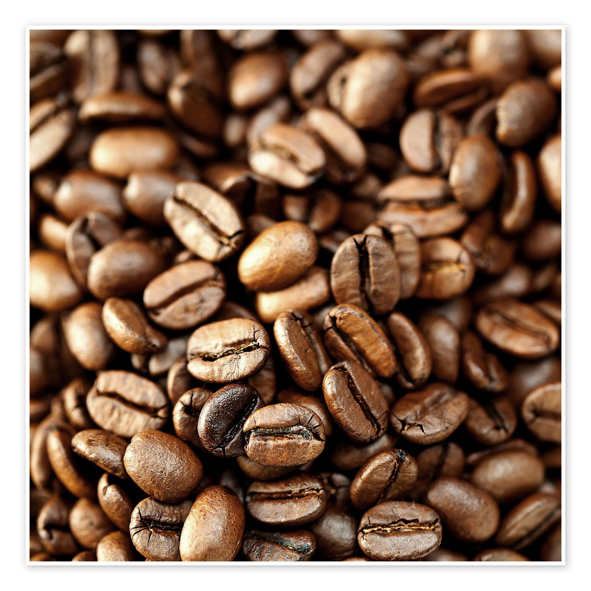 Buy Washed Process Quality Arabica Green Coffee Beans Raw Beans ...