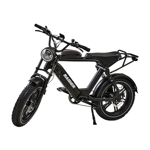 Buy 25ah*2 48v Two Batteries Electric Fat Tire Bike 20" All Weather Off ...