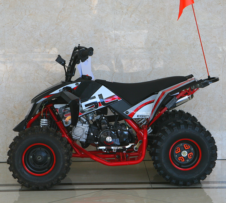 Buy Automatic With Reverse Gear 110cc Atv Quad from Yongkang Eagle ...