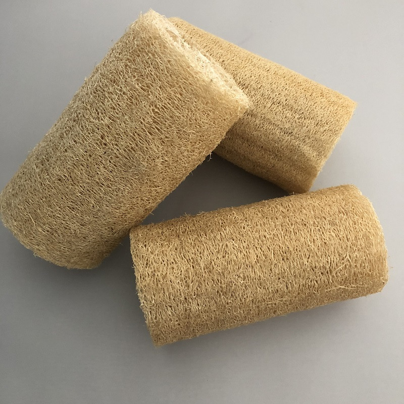 Buy C001 Si Gua Luo 5 Inches Wholesale Biodegradable Natural Eco ...