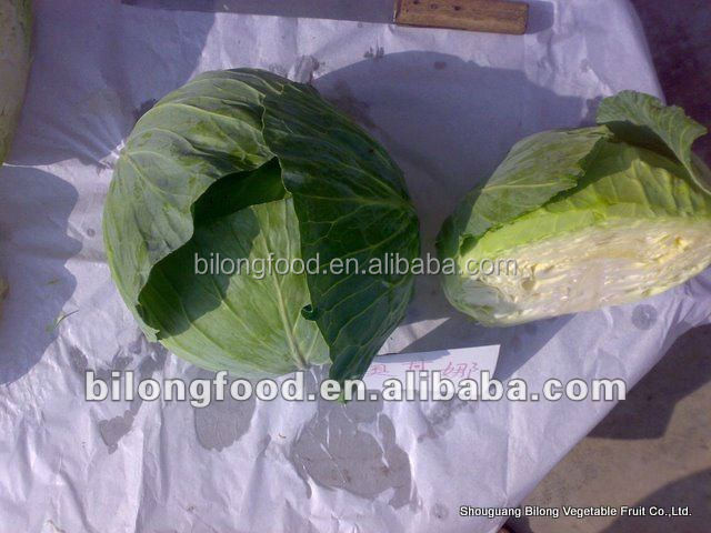 Buy Chinese Fresh Round Cabbage/beijing Cabbage /flat Cabbage Supplying ...