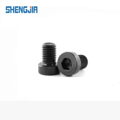 Buy Din7984 Hex Socket Thin Head Cap Machine Allen Screw from Wuxi ...