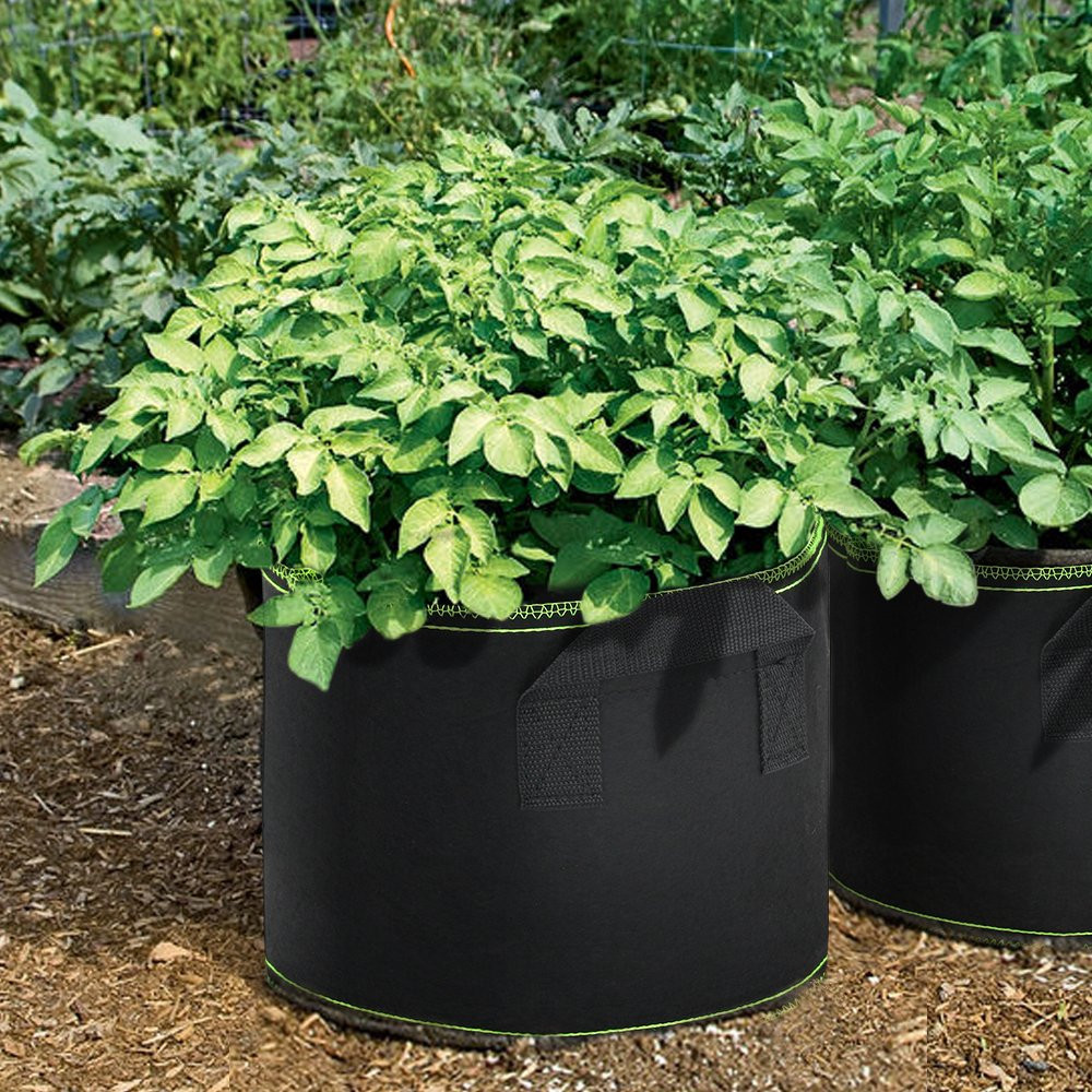 Buy Geotextile Planting Felt Fabric Planter Fabric Pots Grow Bags from ...