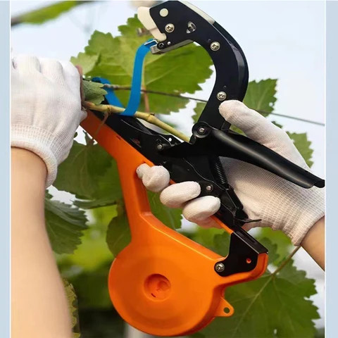 Buy Shenxin Grape Branches Binding Vine Vegetables Tomatoes Plant Tying ...