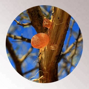 Buy Talha Gum Arabic Hashab Gum Arabic Natural Dietary Fiber from Taian ...