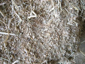 Buy Wheat Hay For Cattle, Chicken, Horse from INTER URB SLU, Spain ...