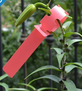 Buy Wrap Around Plant Tag Garden Adjustable Plastic Plant Labels Tag ...