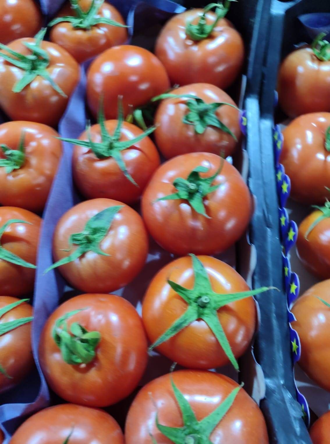 Buy Ikram F1 Tomatoes from Rsemary Ltd, Republic of Türkiye ...