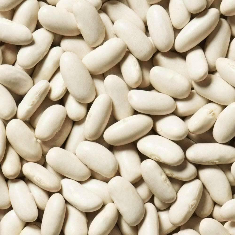 Buy White Kidney Beans Large Size Common Cultivation Type Exported ...