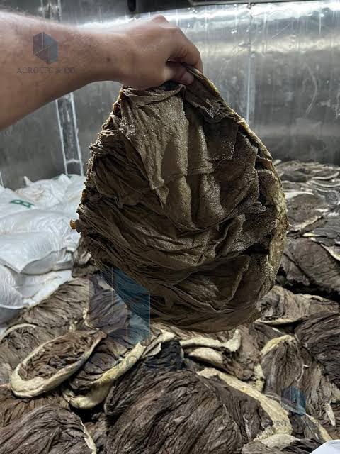 Buy Salted Dried Beef Omasum from ACRO IFC & Co.,, Pakistan ...