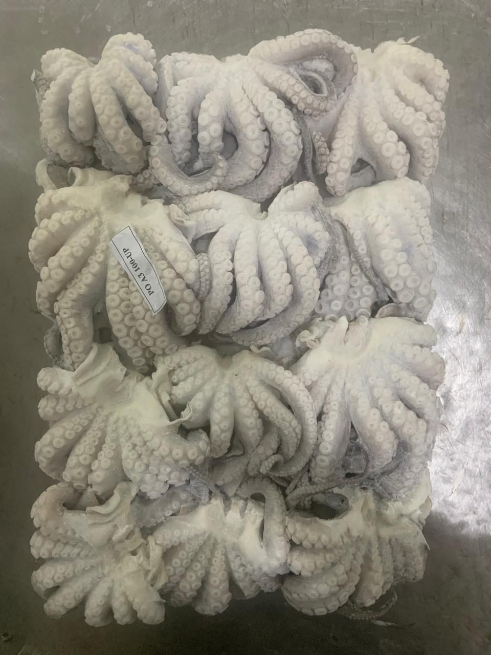 Buy Frozen Open-cut Poulp Squid from ANUGERAH KERAMAT INDAH, Indonesia ...