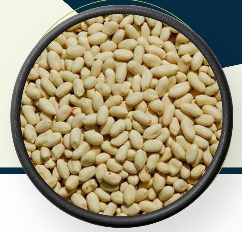 Buy Peanut Bold, Java, Blanched & Roasted from D & M Group Inc, Canada ...