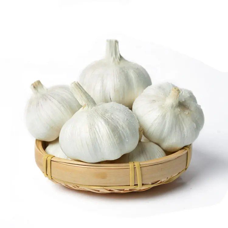Buy Pure White Garlic - Premium Quality, Fresh & Flavorful from ...