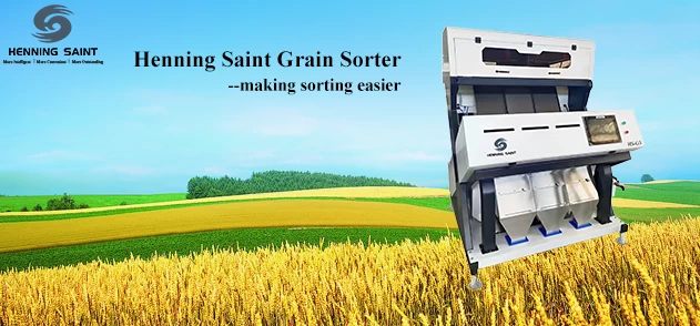 Buy Henning Saint Seed Sorter from Anhui Henning Saint Technology Co ...