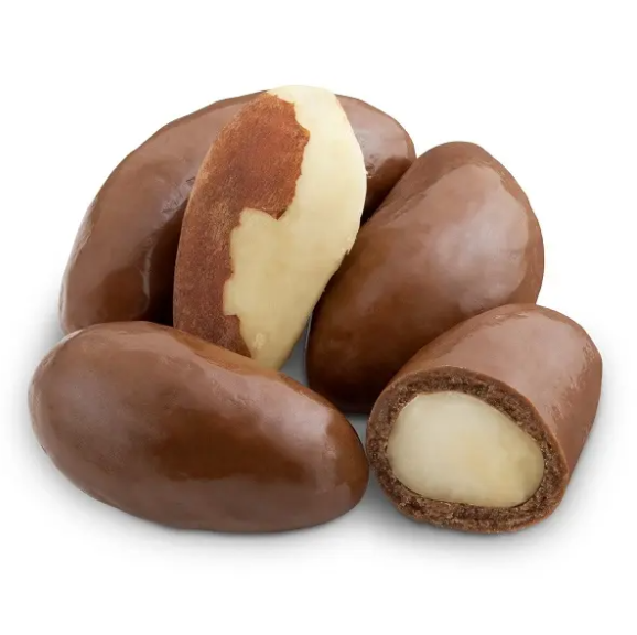 Buy Wholesale Organic Brazil Nuts At Very Low Price Available In Bulk ...