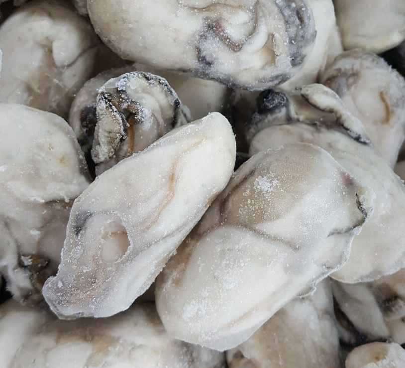 Buy Frozen Oyster (with Shell / Half Shell / Meat) from Teraso Food ...