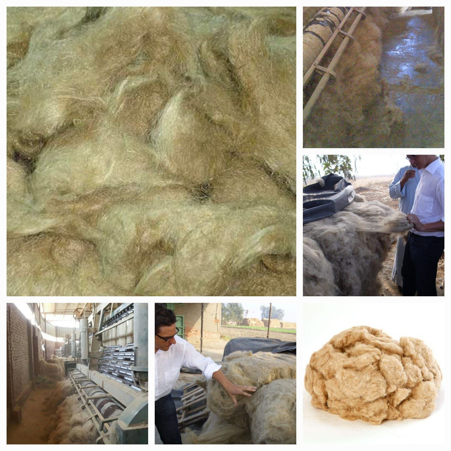 Buy Machine Tow (hackled Flax Tow) from Al-Masria For Exp Est. (S.H.M ...