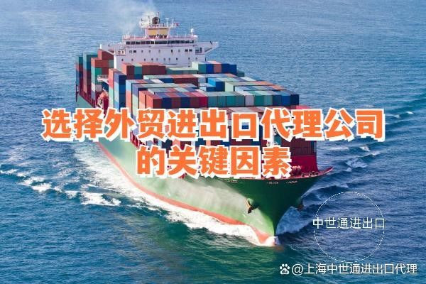 Buy How To Choose An Import And Export Agency And What To Pay Attention ...