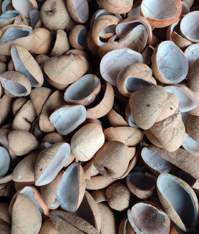 Buy White Copra Grade A from PT Mappoji Komoditas Indonesia, Indonesia ...