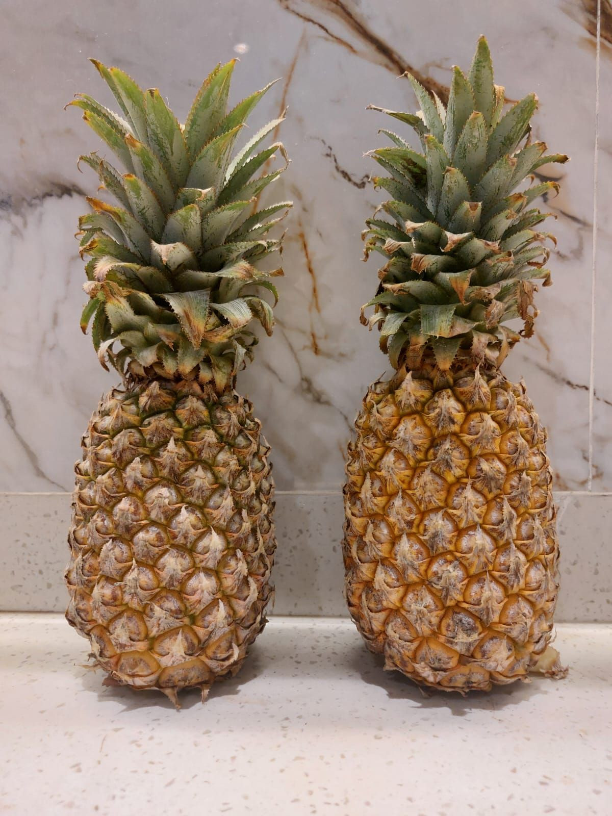 Buy Premium Queen Pineapple From Indonesia from PT. Antromeda Visi Tama ...