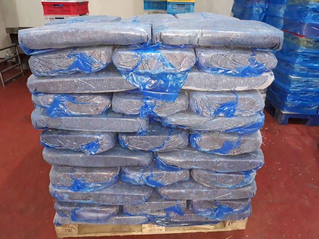 Buy Chicken Mdm from PPHU EXPORT-IMPORT HENRYK WOŁOSZYN, Poland ...