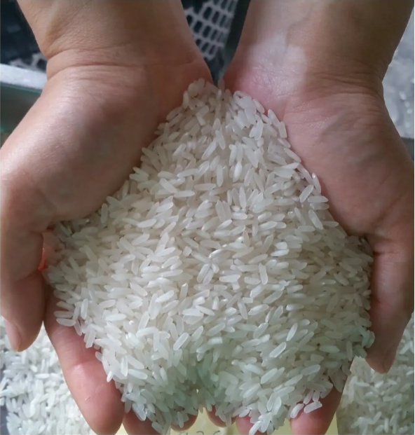 Buy Top Cheapest Basmati Rice - Riz Basmati - Extra Long Grain 5kg,10kg ...
