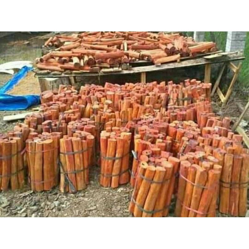 Buy Sappan Wood / Biancae Sappan / 蘇木 from PT.FREWIN TEKNOLOGI ASIA ...