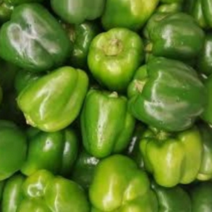 Buy Fresh Peppers From Ecuador from Tropiveggiefruits Sas, Ecuador ...