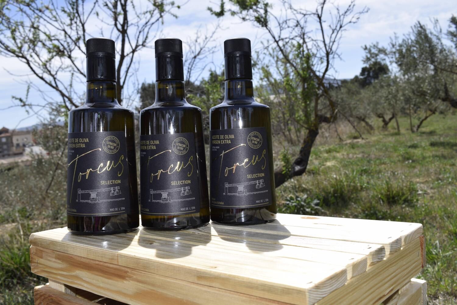 Buy Olive Oils from Skyra Travel Retail, Hong Kong | Tradewheel.com