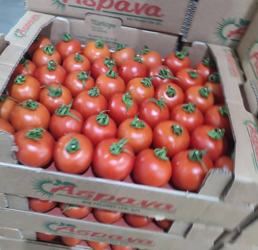 Buy Ikram F1 Tomatoes from Rsemary Ltd, Republic of Türkiye ...