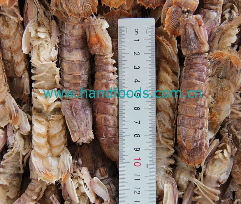 Buy Frozen Cooked Mantis Shrimp from Hand Foods (Dalian) Co., Ltd ...