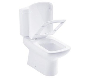 Buy Arabic Washdown Muslim Toilet Types Of Toilet Bowls from Chaozhou ...