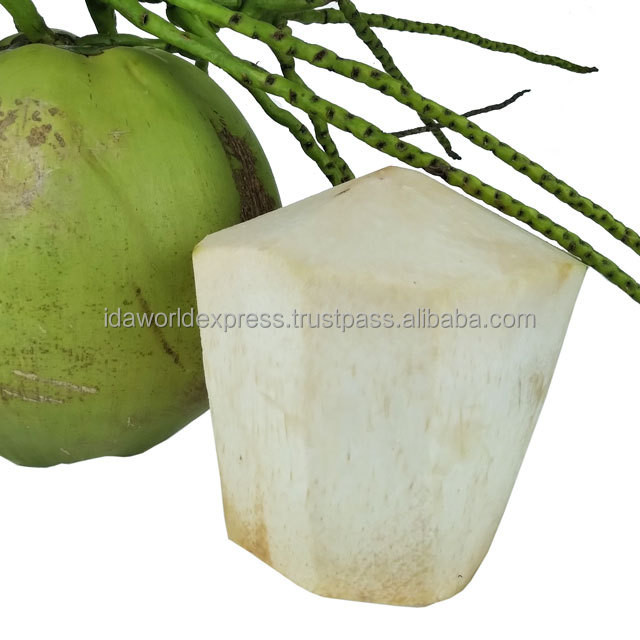 Buy Fresh Young Coconut The Coconuts Fresh Thailand Green With Sweet ...