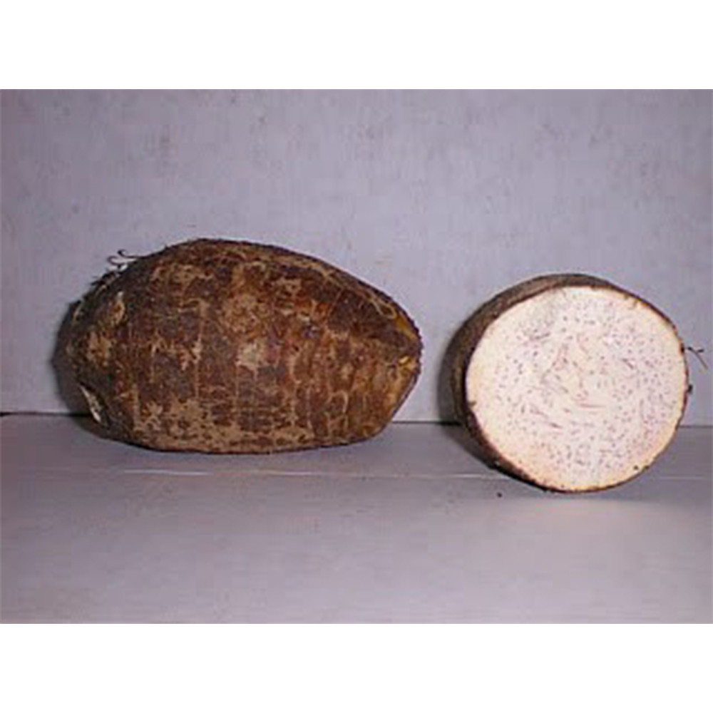 Buy High Quality Frozen Taro | Vietnam Food Export Products from ...