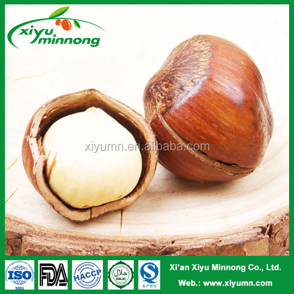 Buy New Corp High Quality Cultivation Direct Roasted Cheap Hazelnuts ...