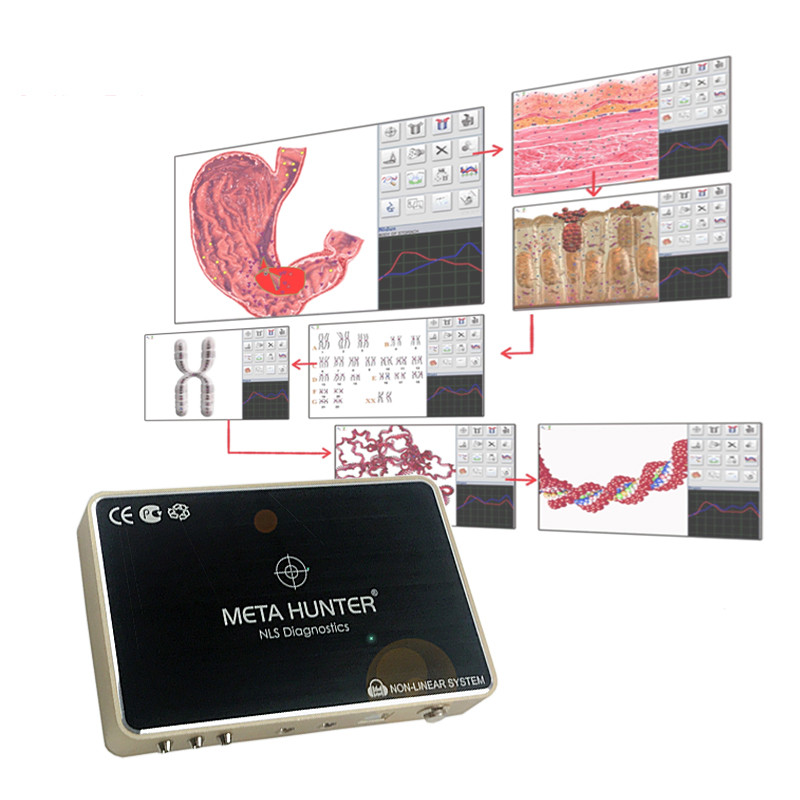 Buy Original Metatron Hunter 4025 Bioresonance Meta Hunter 4025 Nls ...