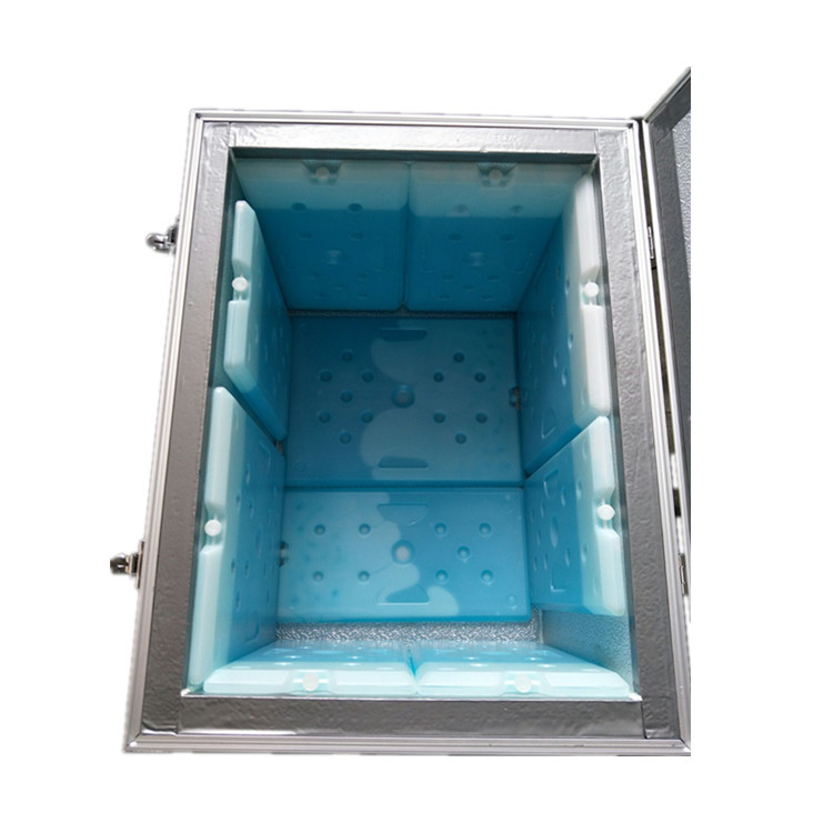 Buy Without Electricity Portable Ice Cream Cooler Box Cart With Freezer ...