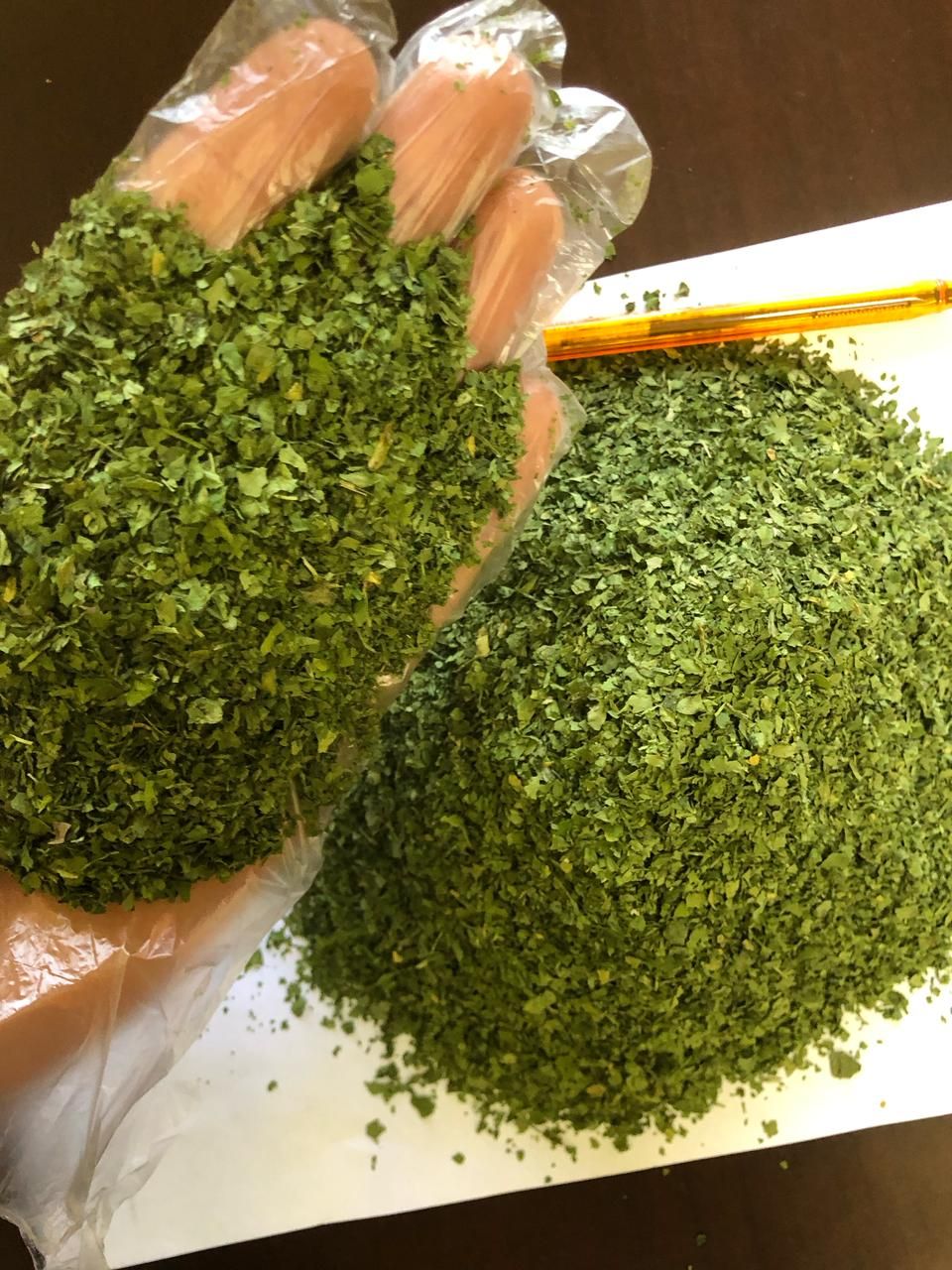 Buy Dried Parsley from FARM HERBS, Egypt | Tradewheel.com