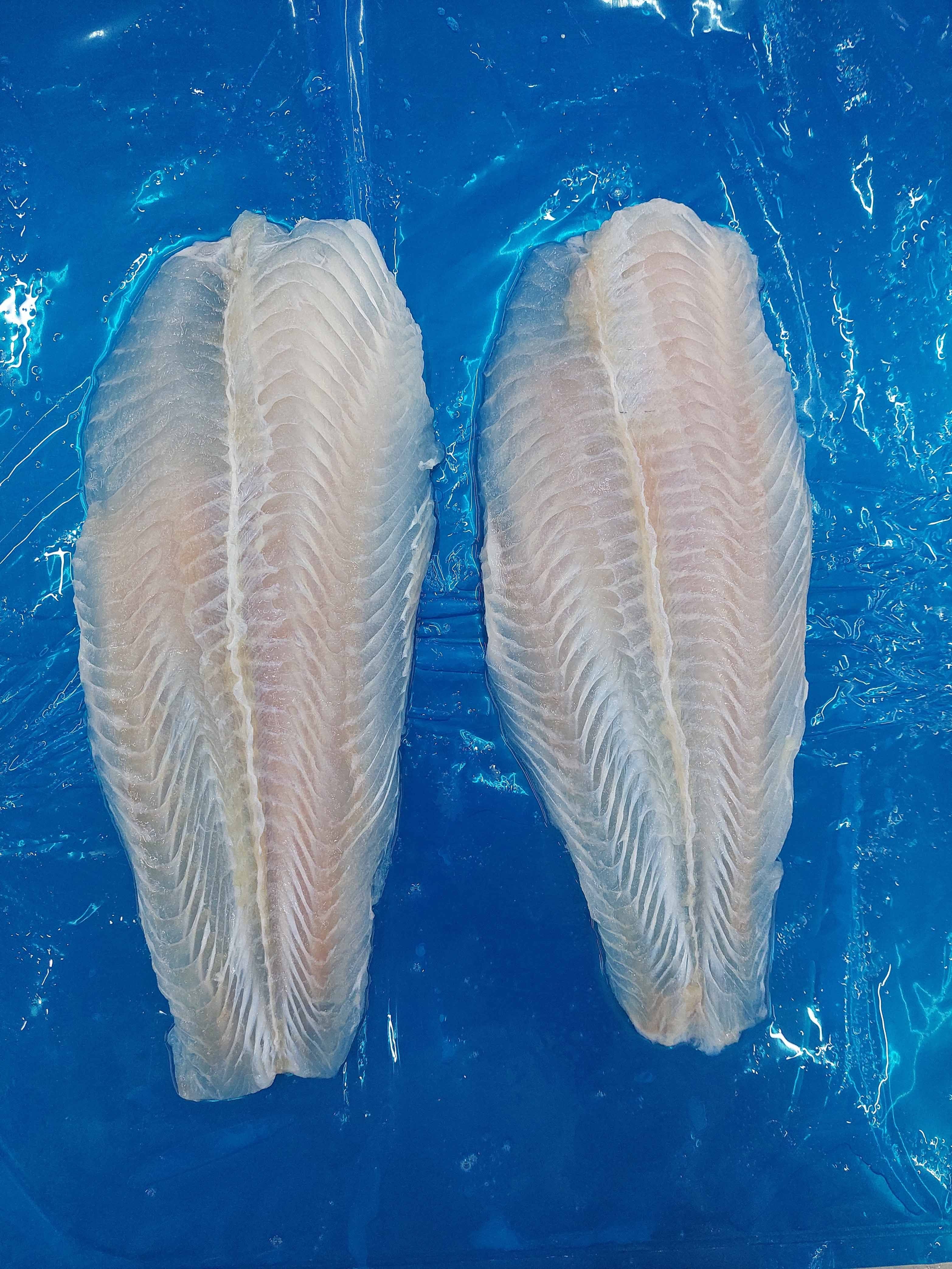 Buy Frozen Well-trimmed Pangasius Fillet from PHUONG DONG FOOD ...