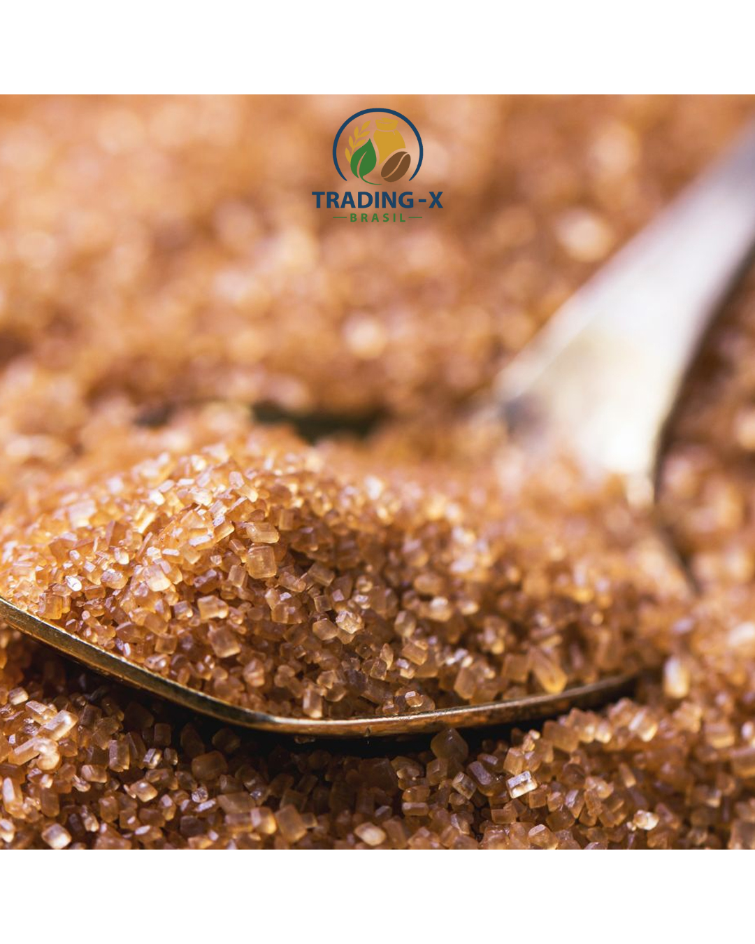 Buy Bulk Packing Icumsa-600/1200 Vhp Sugar from Trading-X Brazil Export ...