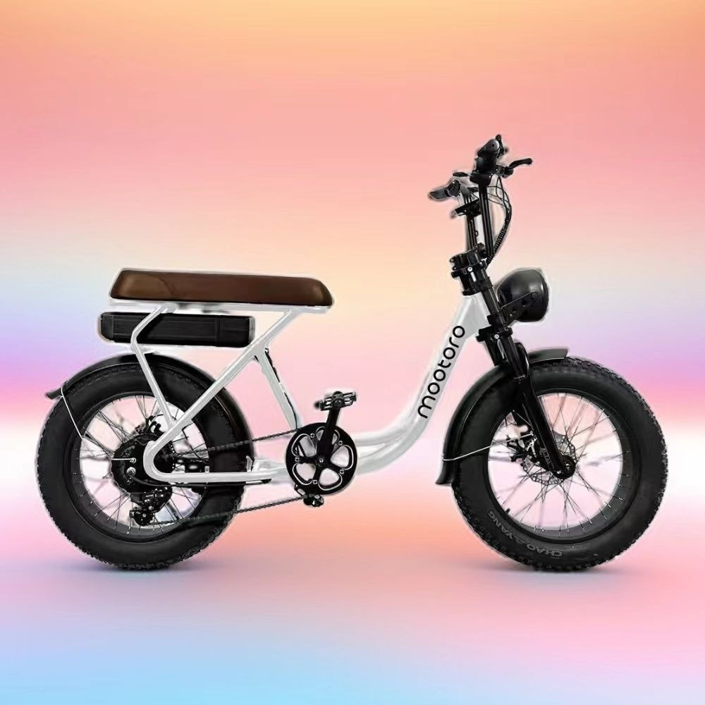 Buy Xingao Road Electric Bike 20ah Lithium Battery City Bike For Sale ...