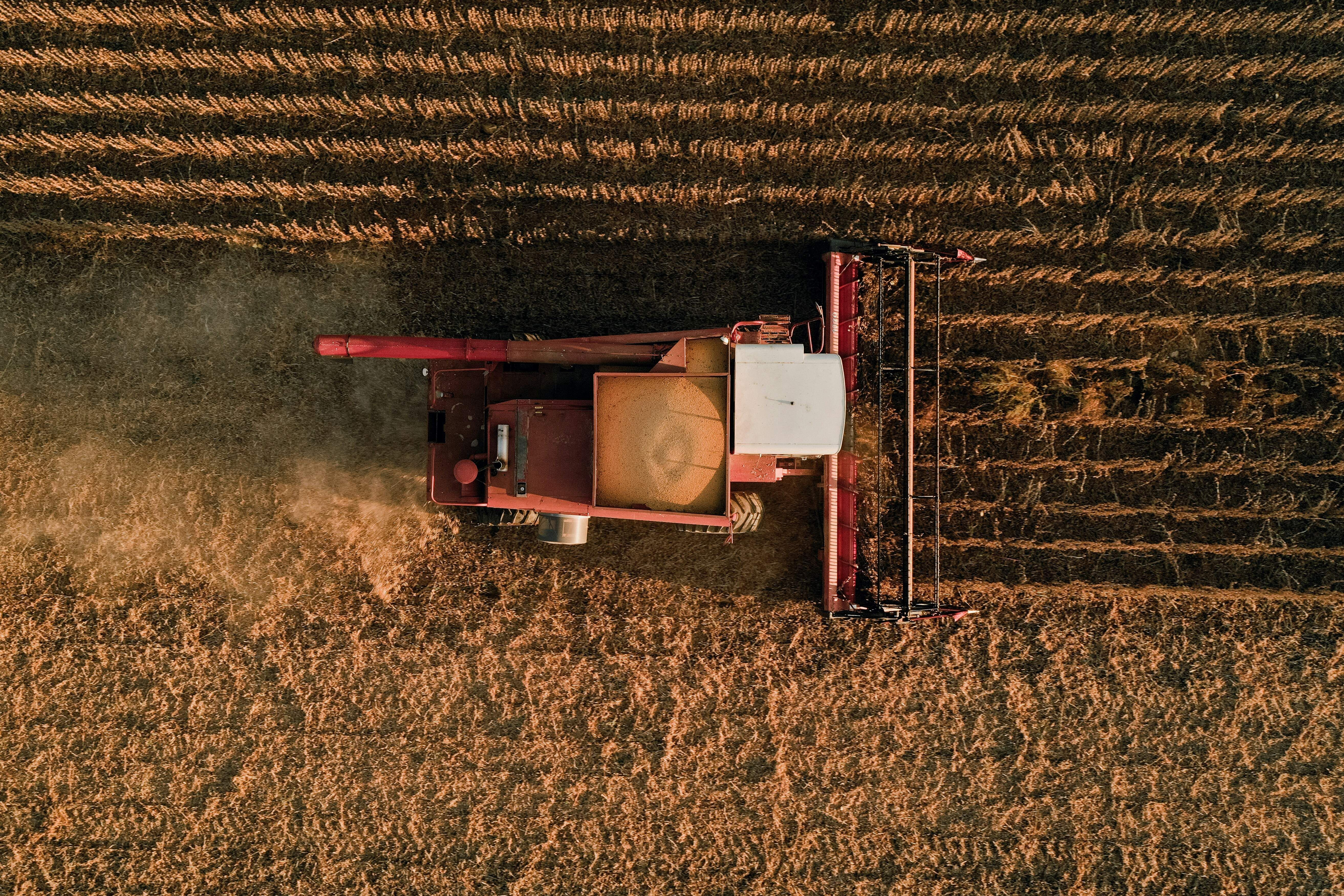 Buy Soybean Gmo from J&T Commodity Export, Brazil | Tradewheel.com