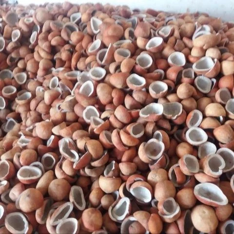 Buy Coconut Copra from LINDILE AND SONS SUPPLIES PTY LTD, South Africa ...